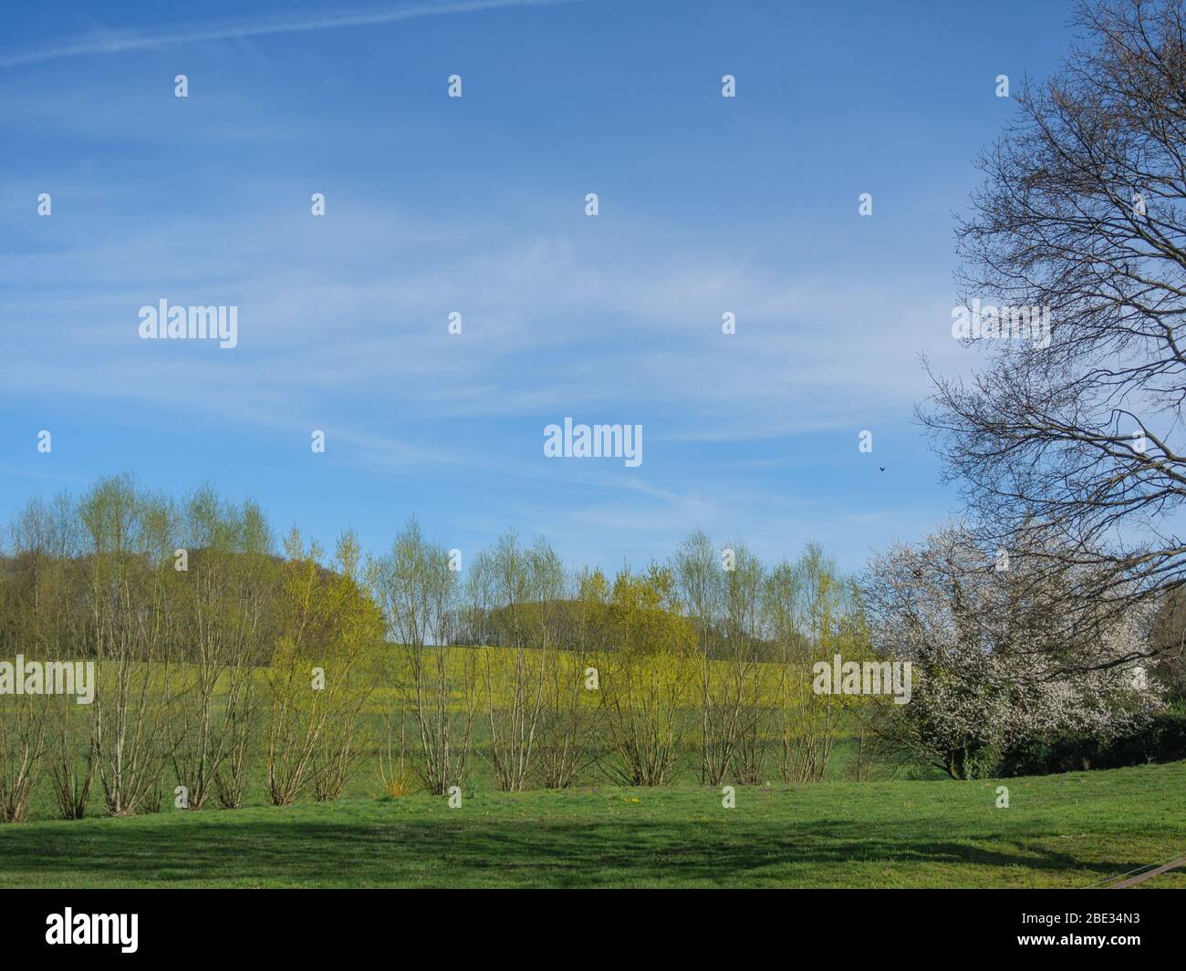 spring in germany Stock Photo - Alamy