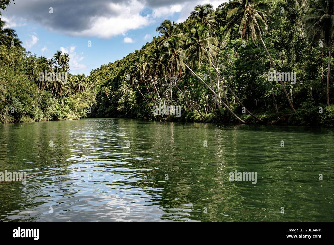 River in the middle of the jugle in Bohol Stock Photo - Alamy