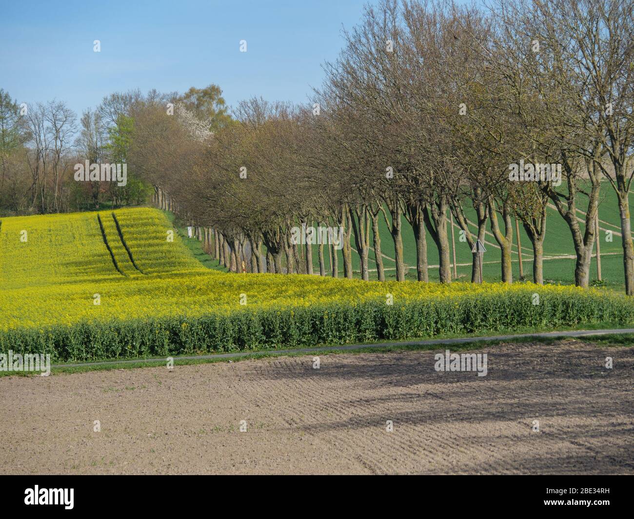 spring in germany Stock Photo - Alamy