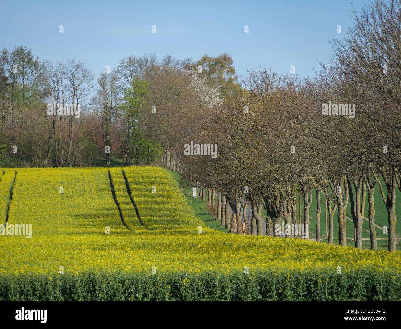 spring in germany Stock Photo - Alamy
