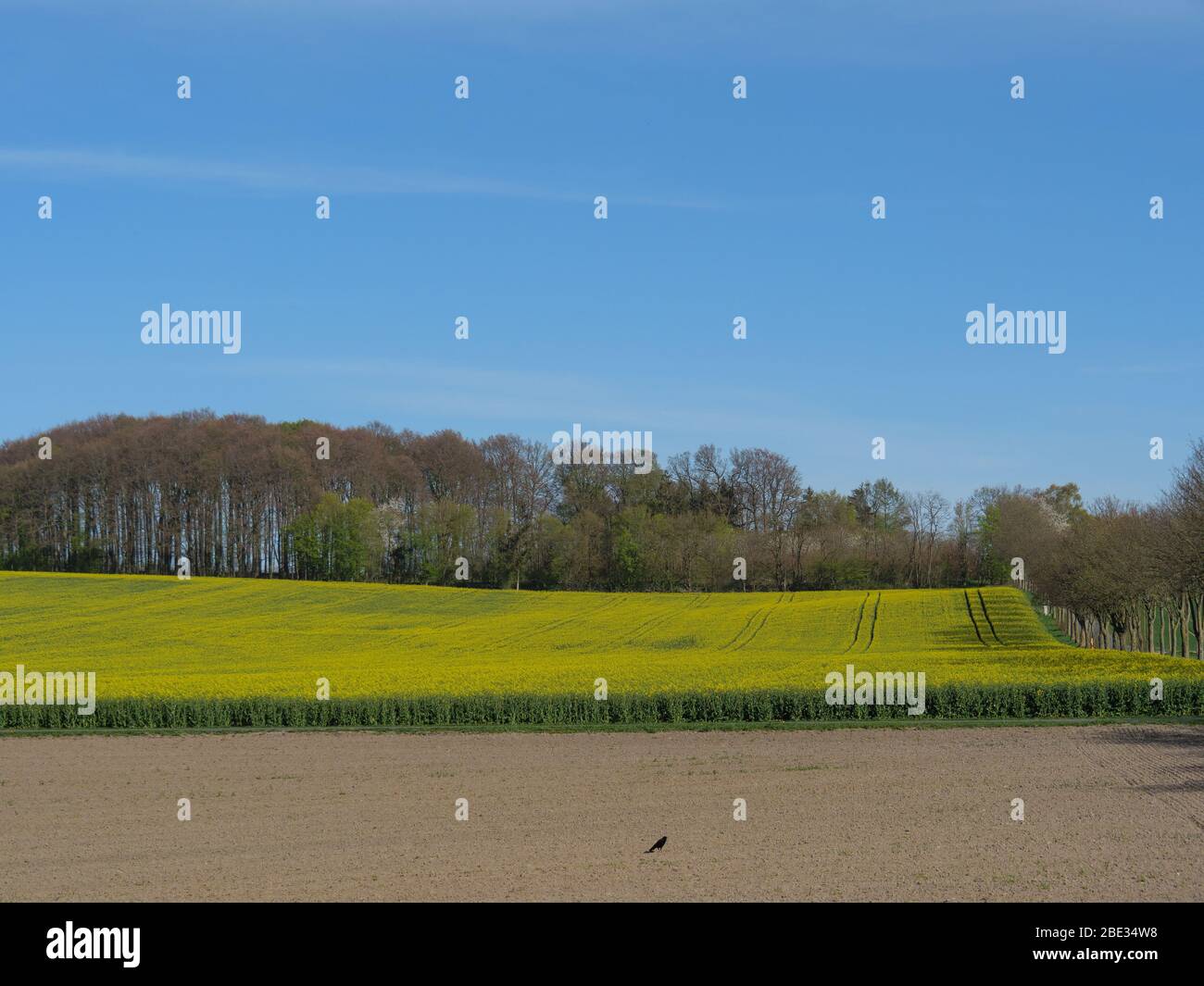 spring in germany Stock Photo - Alamy