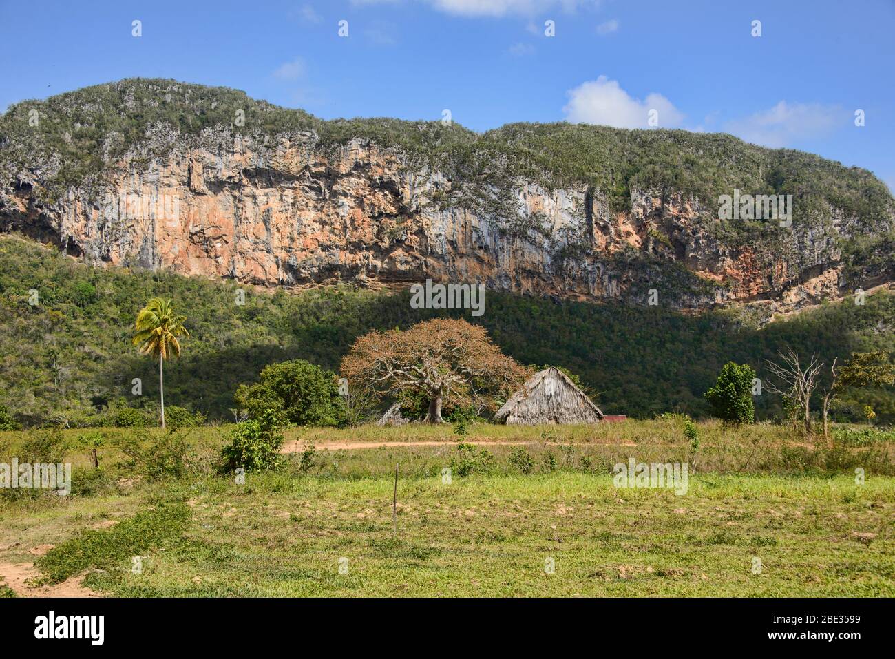 Tobacco farm landscape in the Valley of Viñales, Cuba Stock Photo - Alamy