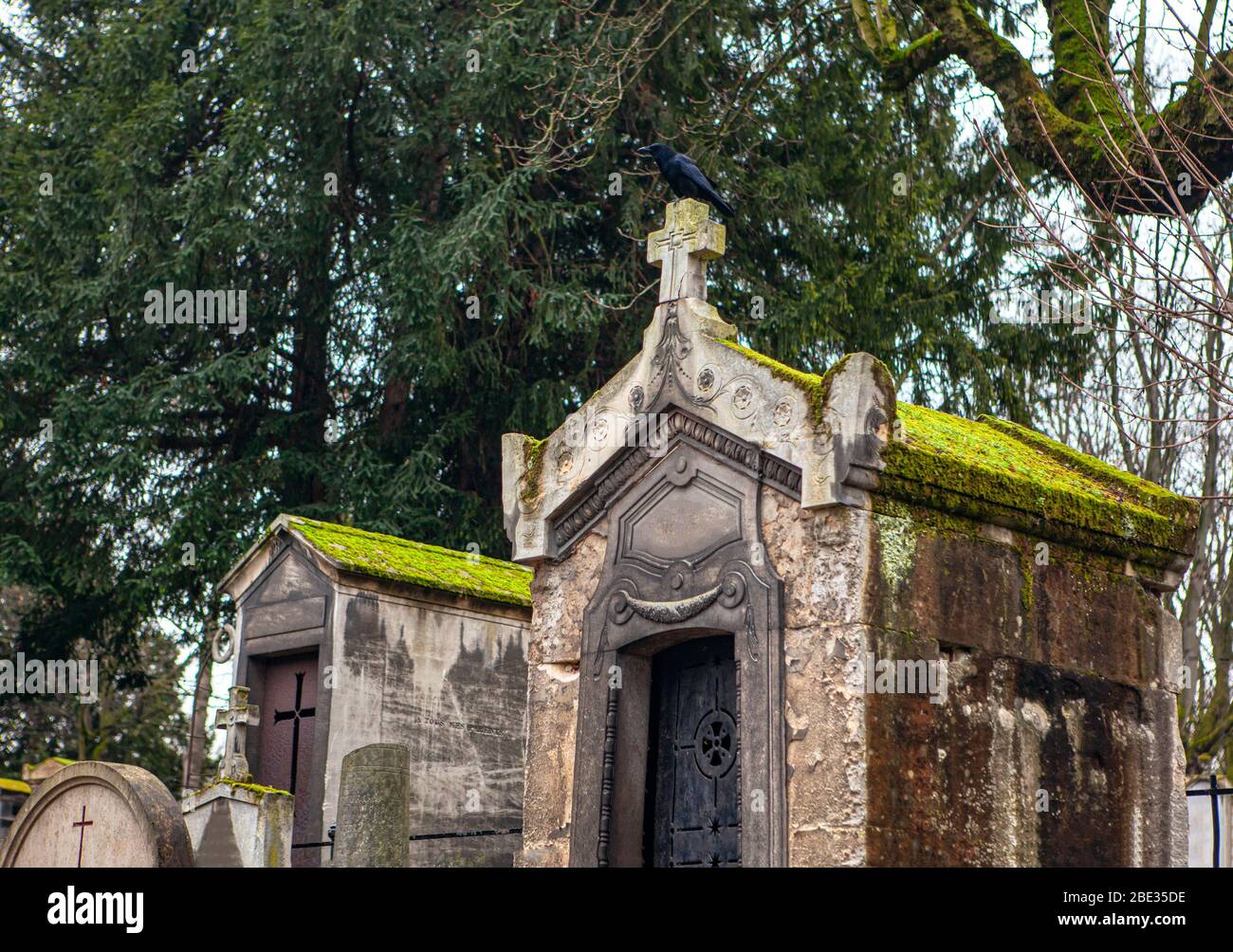 very old crypt with stone cross Stock Photo - Alamy