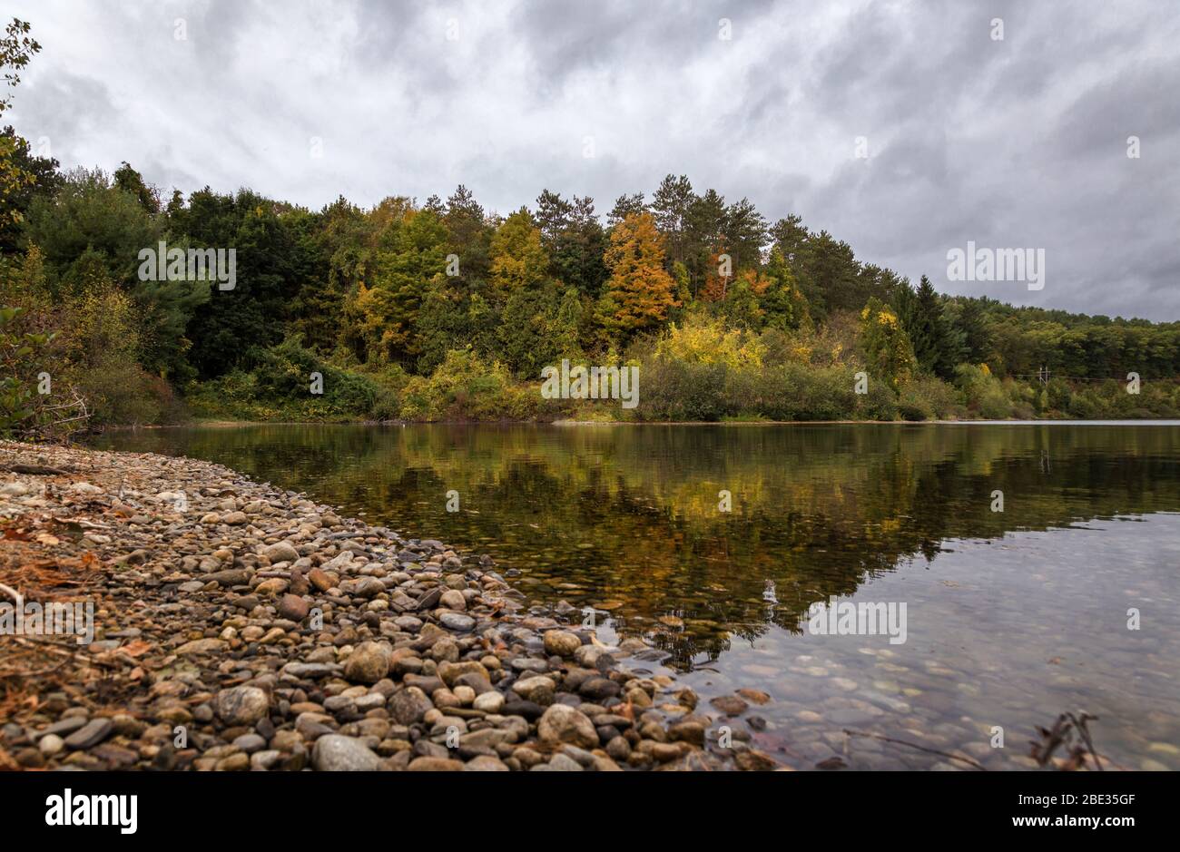 Maple tree fall foliage massachusetts hi-res stock photography and ...
