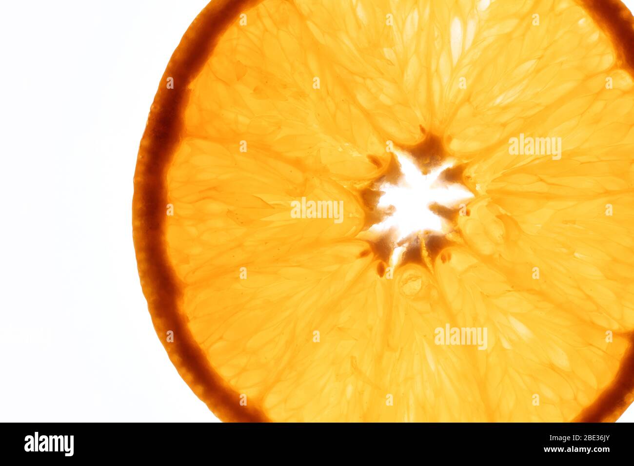 a beautiful close up of an orange slice against a bright white ...