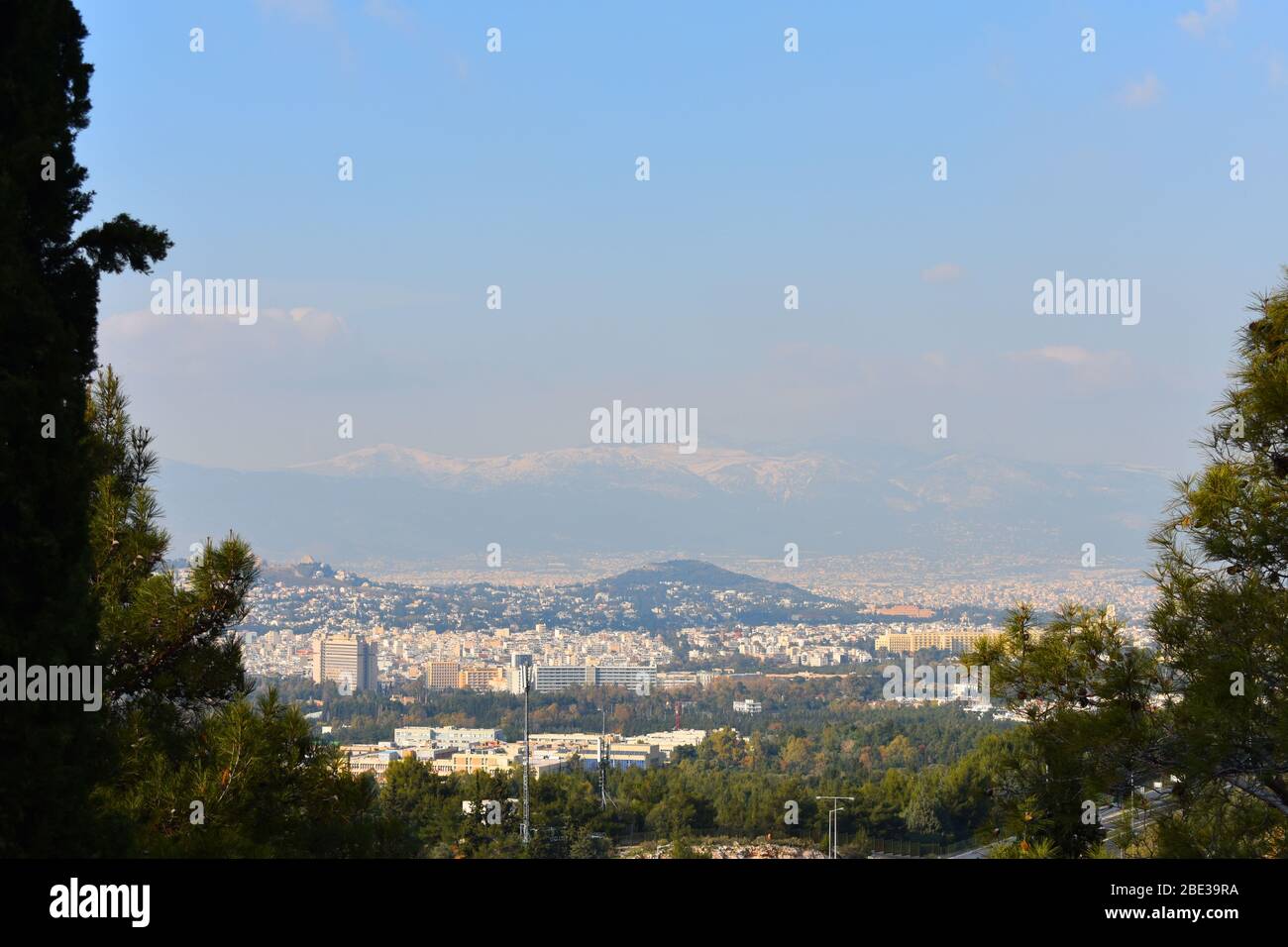 Pine tree branches greece hi-res stock photography and images - Alamy