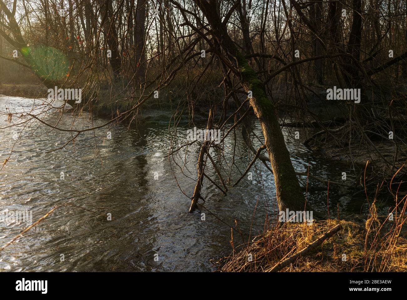 winter landscape over the Ticino rivr banks, Besate, Milano Stock Photo ...