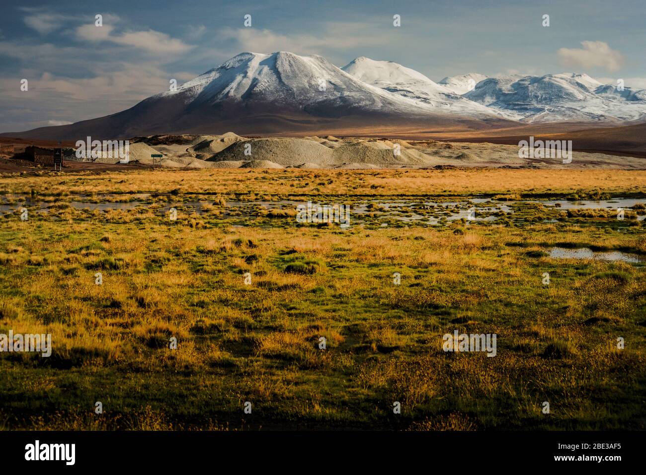 The Putana Volcano in the background, in the foreground the bofedal of ...