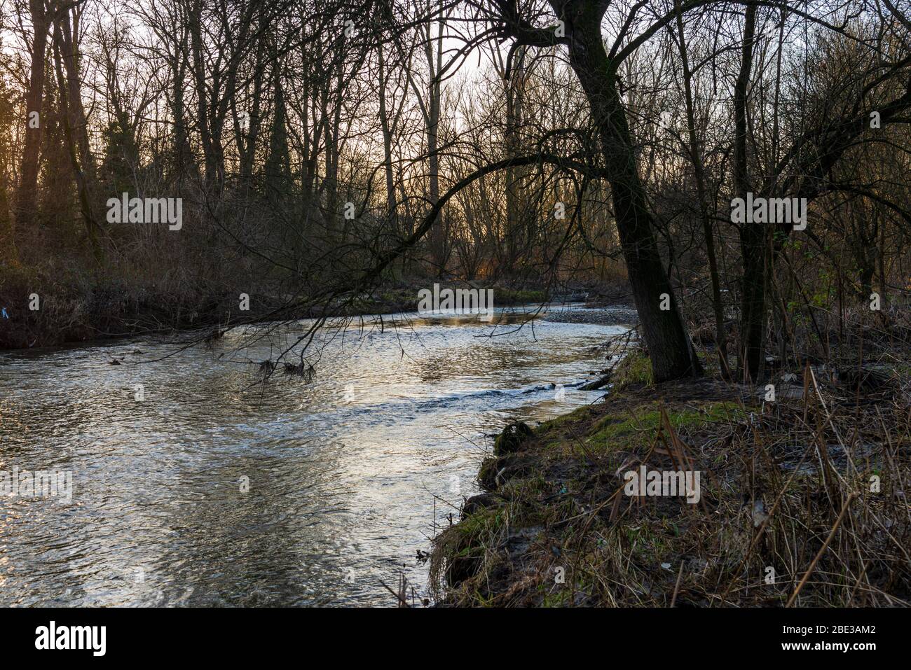 winter landscape over the Ticino rivr banks, Besate, Milano Stock Photo ...