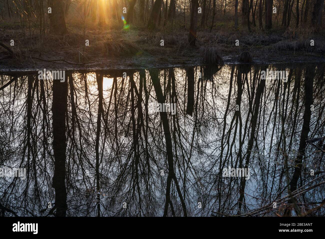 winter landscape over the Ticino rivr banks, Besate, Milano Stock Photo ...