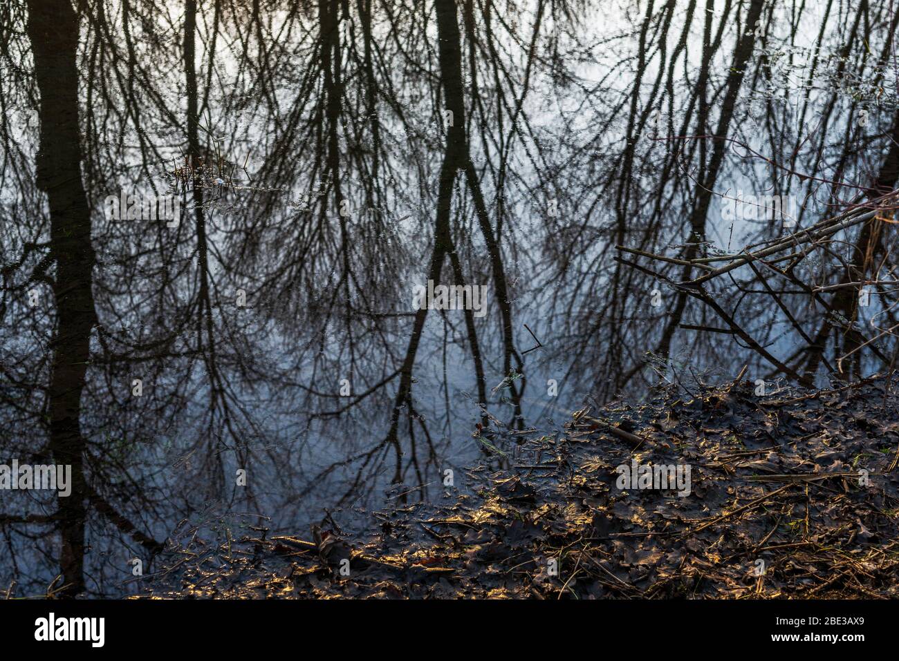 winter landscape over the Ticino rivr banks, Besate, Milano Stock Photo ...