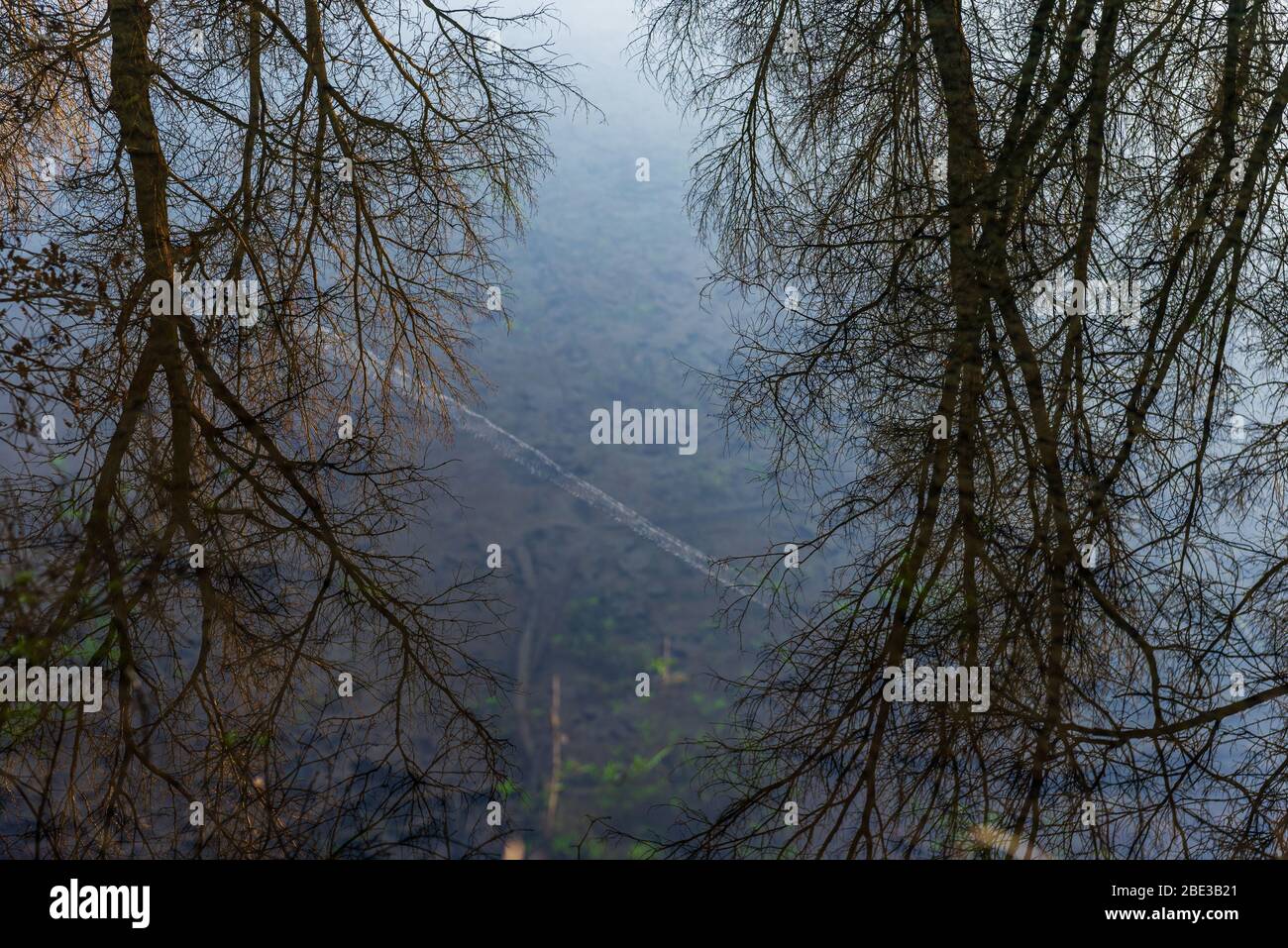 winter landscape over the Ticino rivr banks, Besate, Milano Stock Photo ...