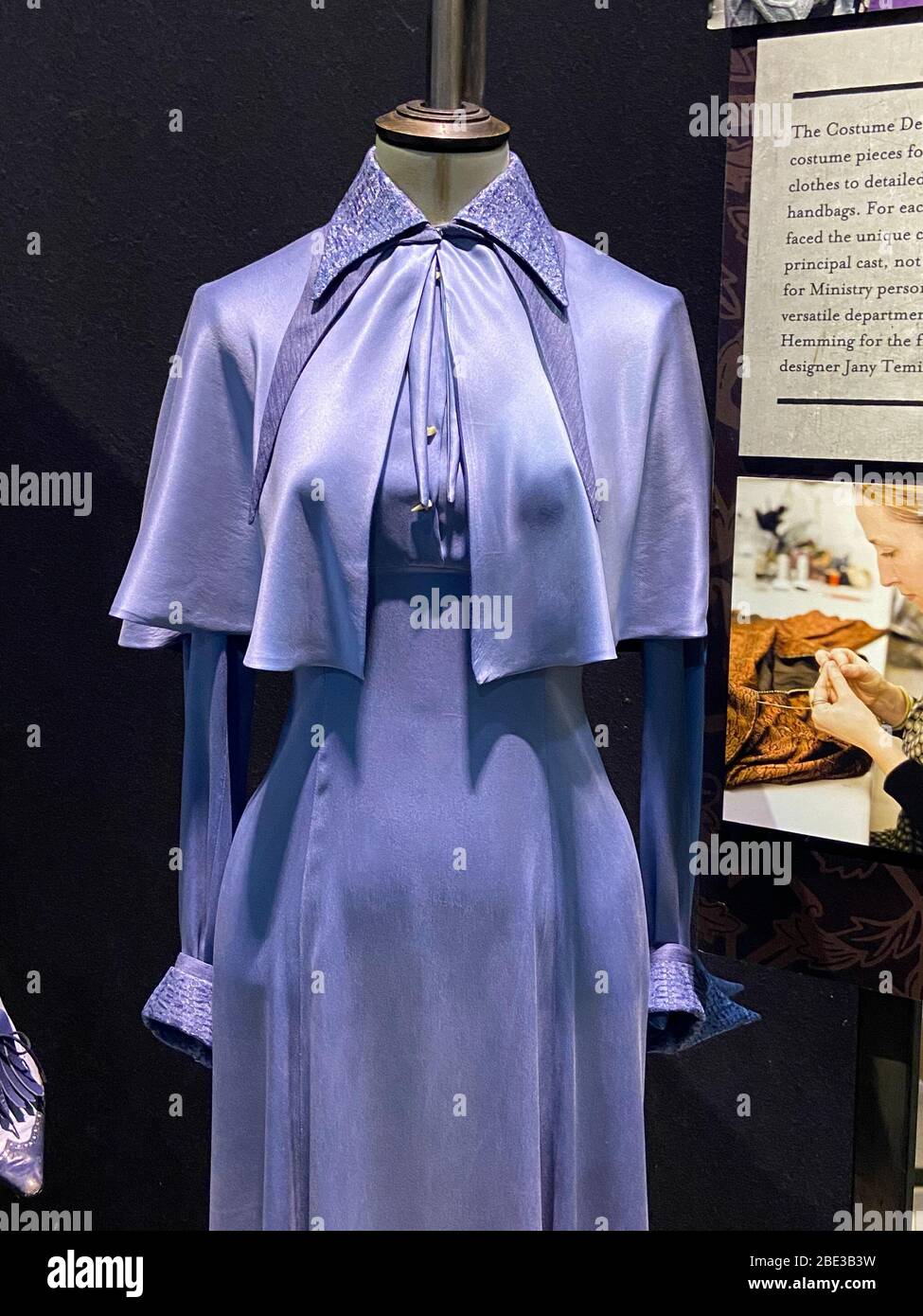 Harry Potter Beauxbatons Costume