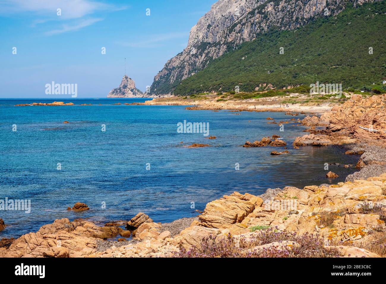 Punta timone hi-res stock photography and images - Alamy