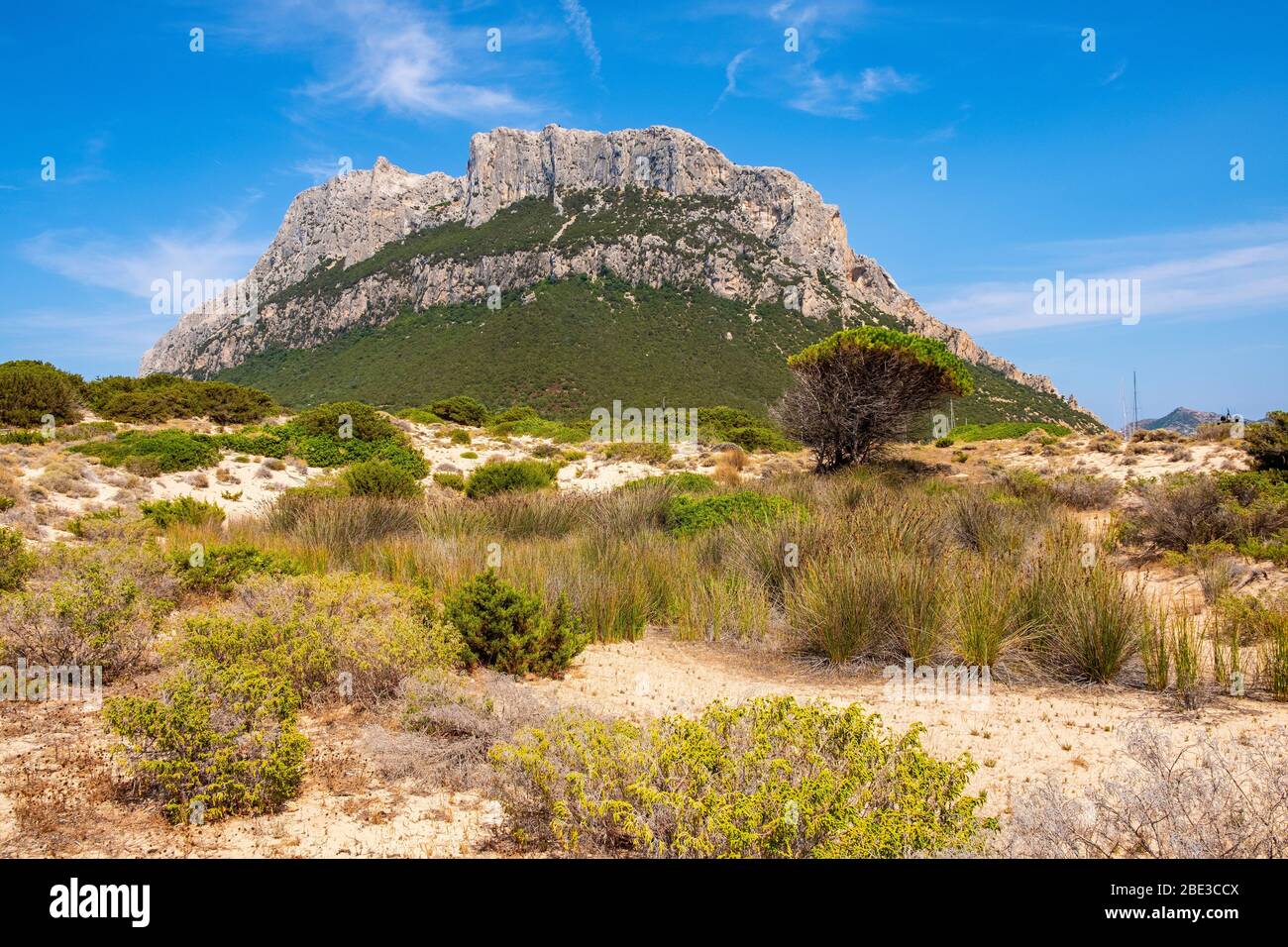 Panoramic view of cliffs and slopes of main massif, Monte Cannone peak ...