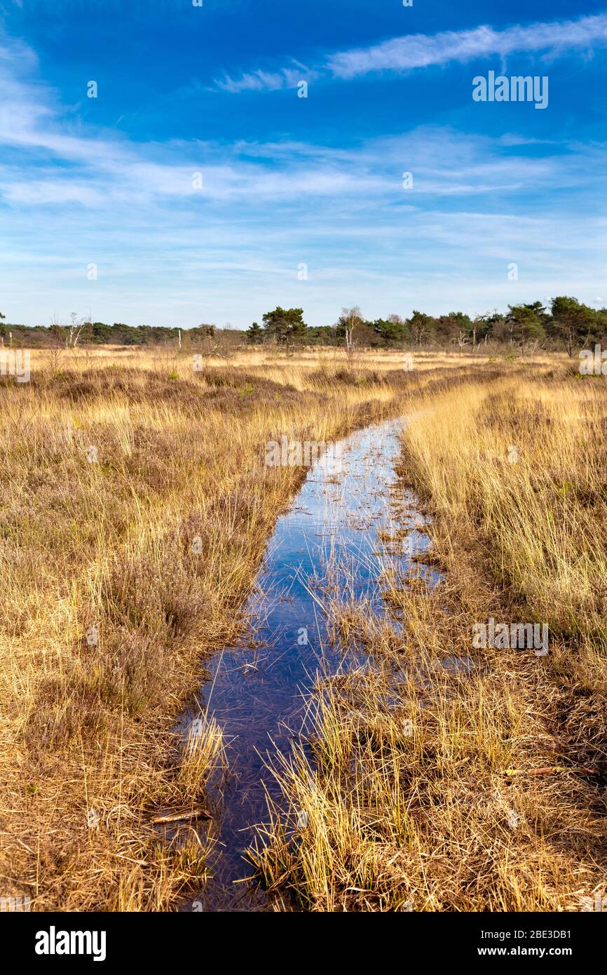 Kalmthout national park hi-res stock photography and images - Alamy