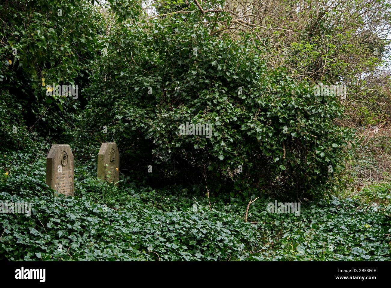 Graveyard warriston cemetery hi-res stock photography and images - Alamy