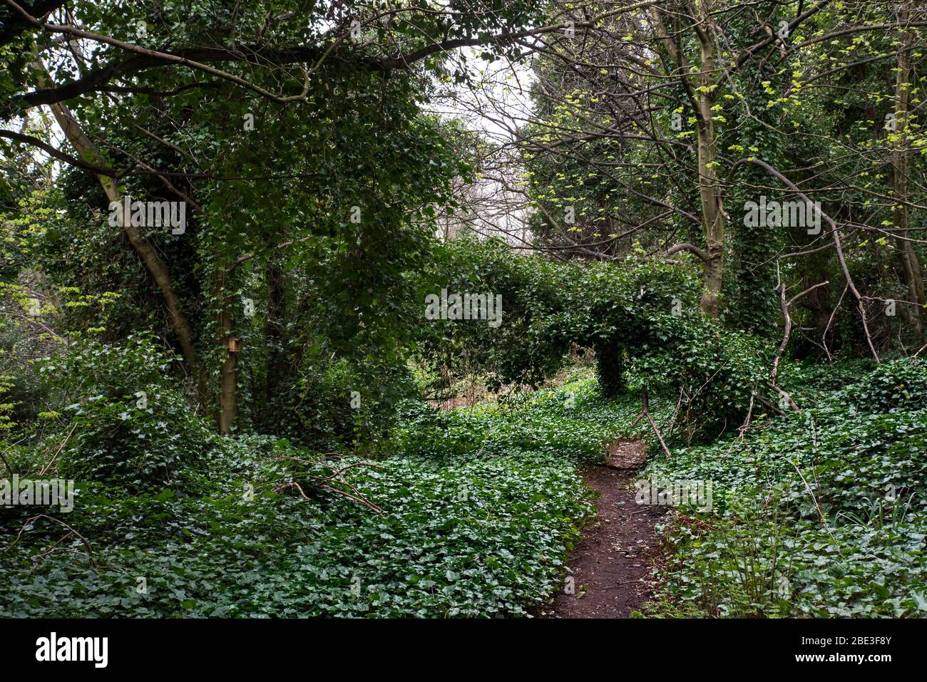 Victorian Garden Cemetery High Resolution Stock Photography and Images ...
