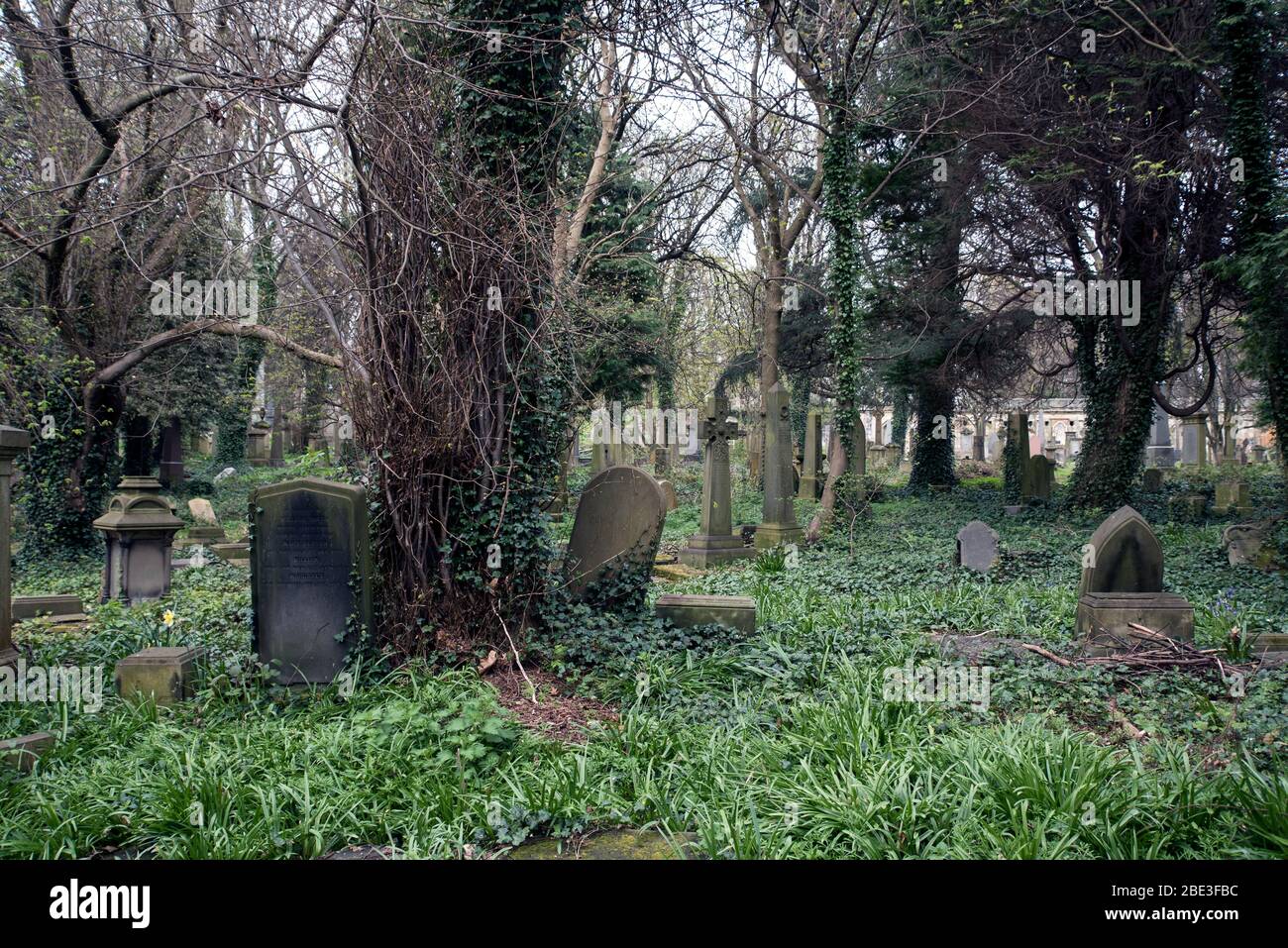 The neglected and overgrown Victorian section of Warriston Cemetery ...