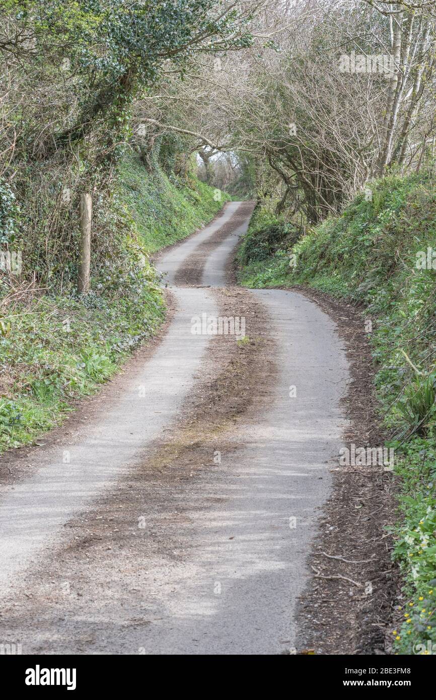 Springtime wild flowers and flowering weeds in winding rural country ...