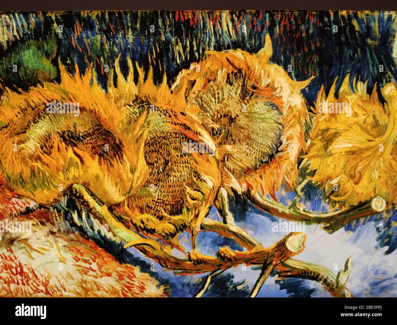 Van gogh style photos hi-res stock photography and images - Alamy