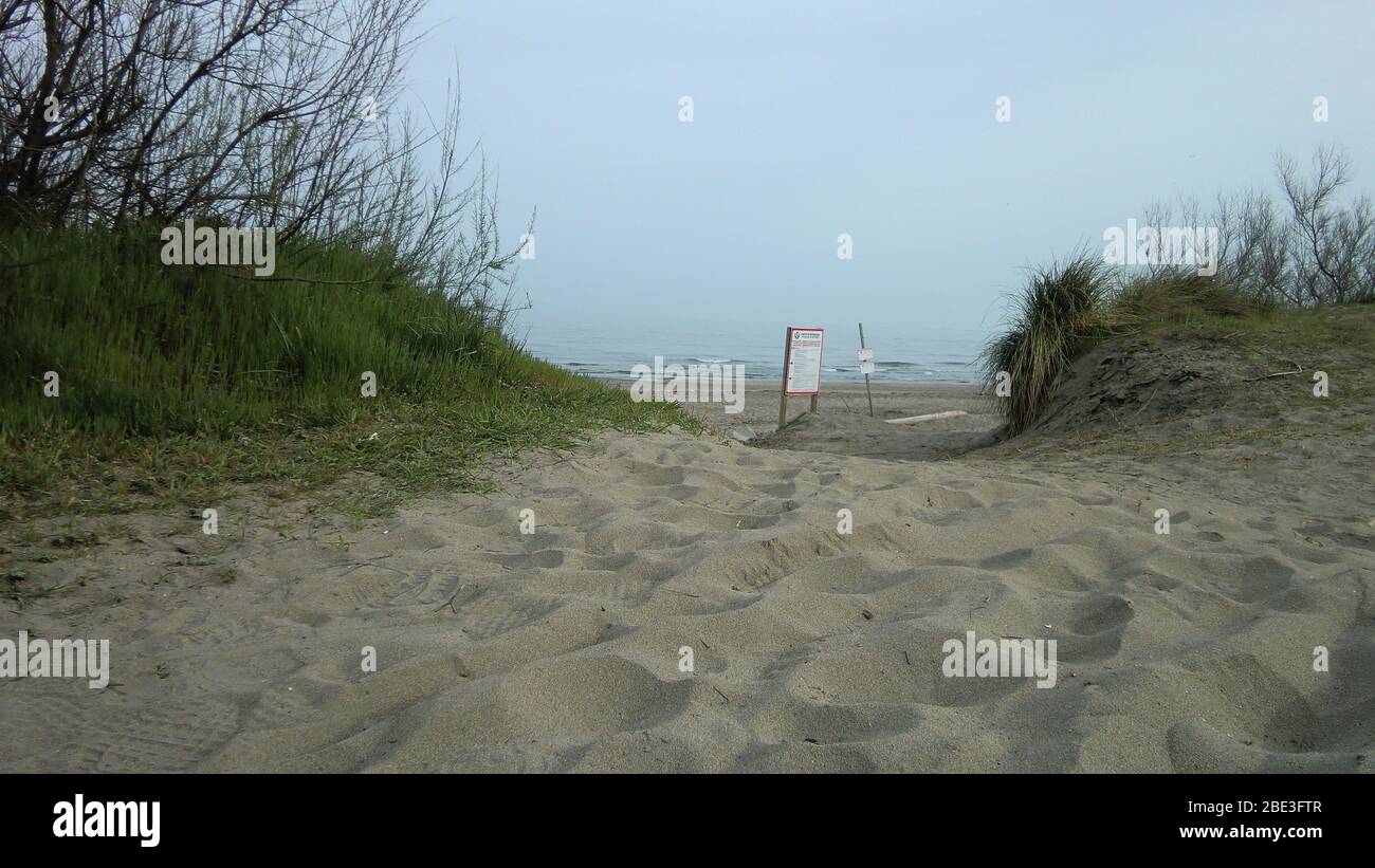 Rosolina mare hi-res stock photography and images - Alamy