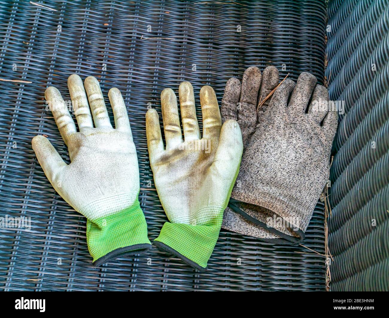 Gardening professional wearing protective gloves hi-res stock ...