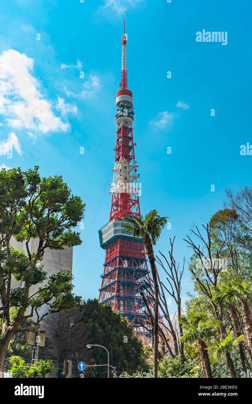 Tokyo Tower behind the palm trees in Ichozaka Street is the tallest ...