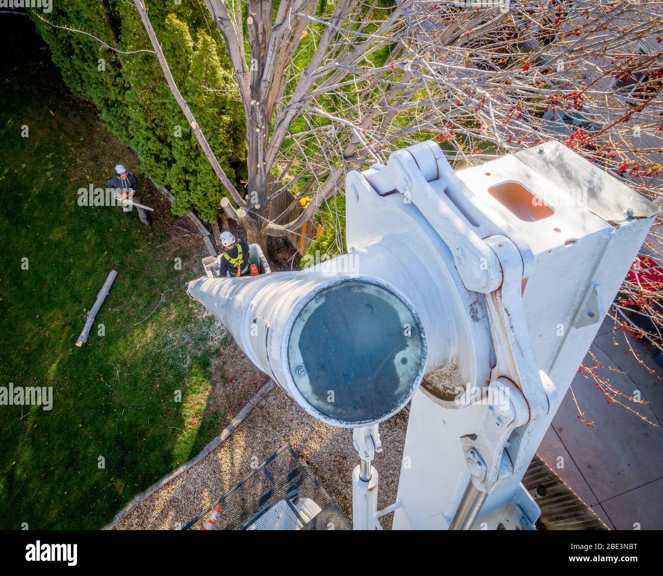 Arborists tools tools hi-res stock photography and images - Alamy