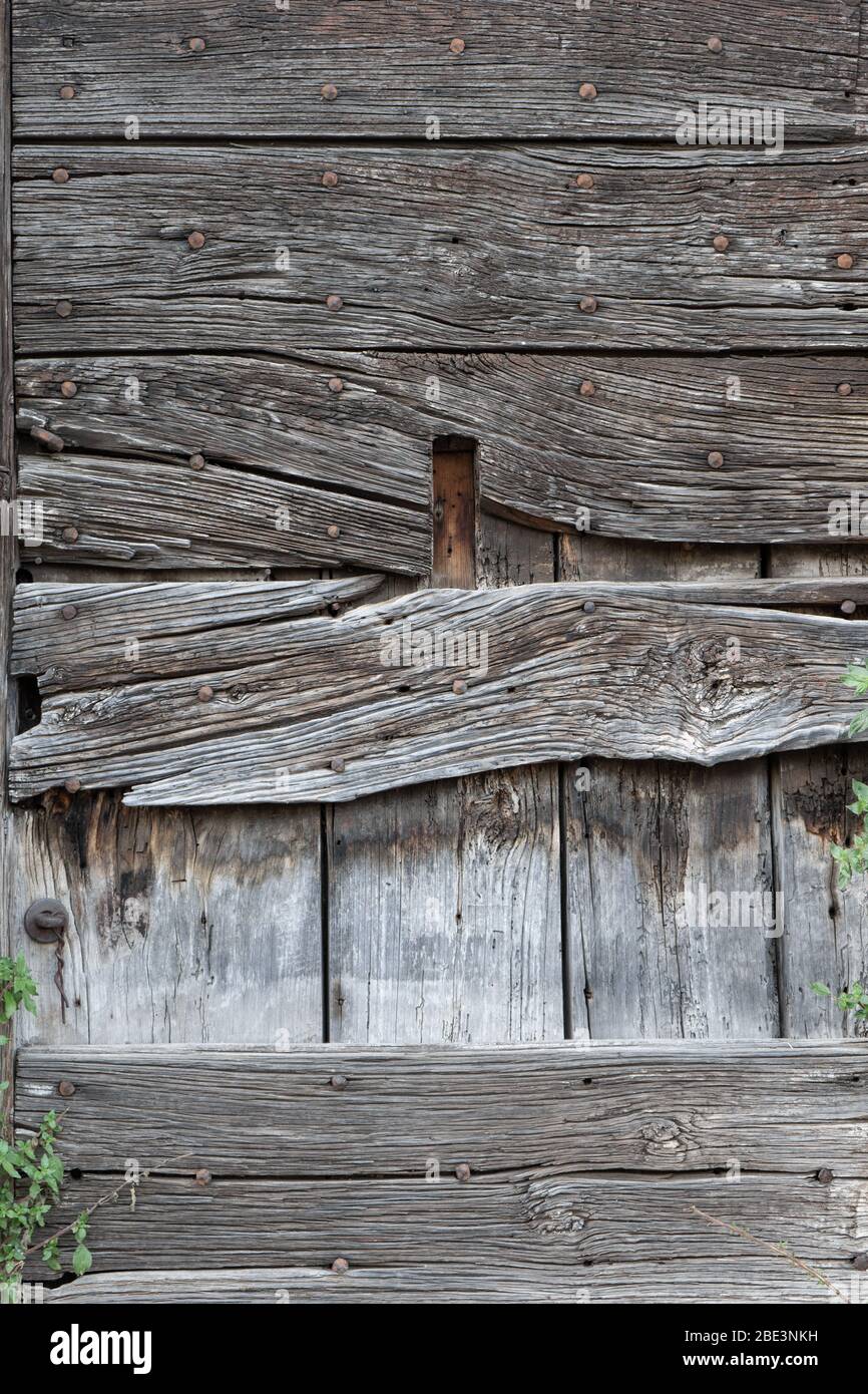 texture of a old roman wood door Stock Photo - Alamy