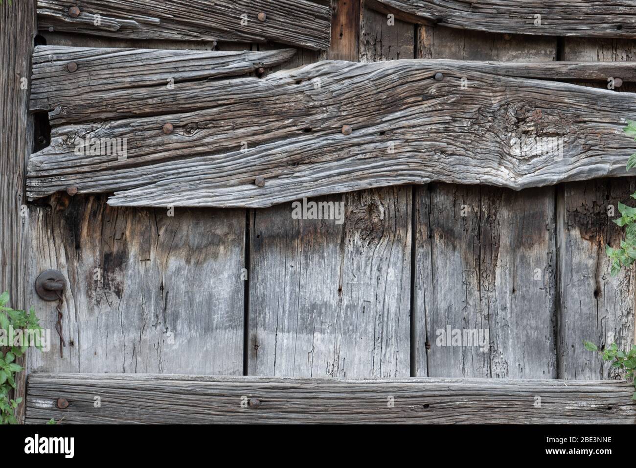 texture of a old roman wood door Stock Photo - Alamy