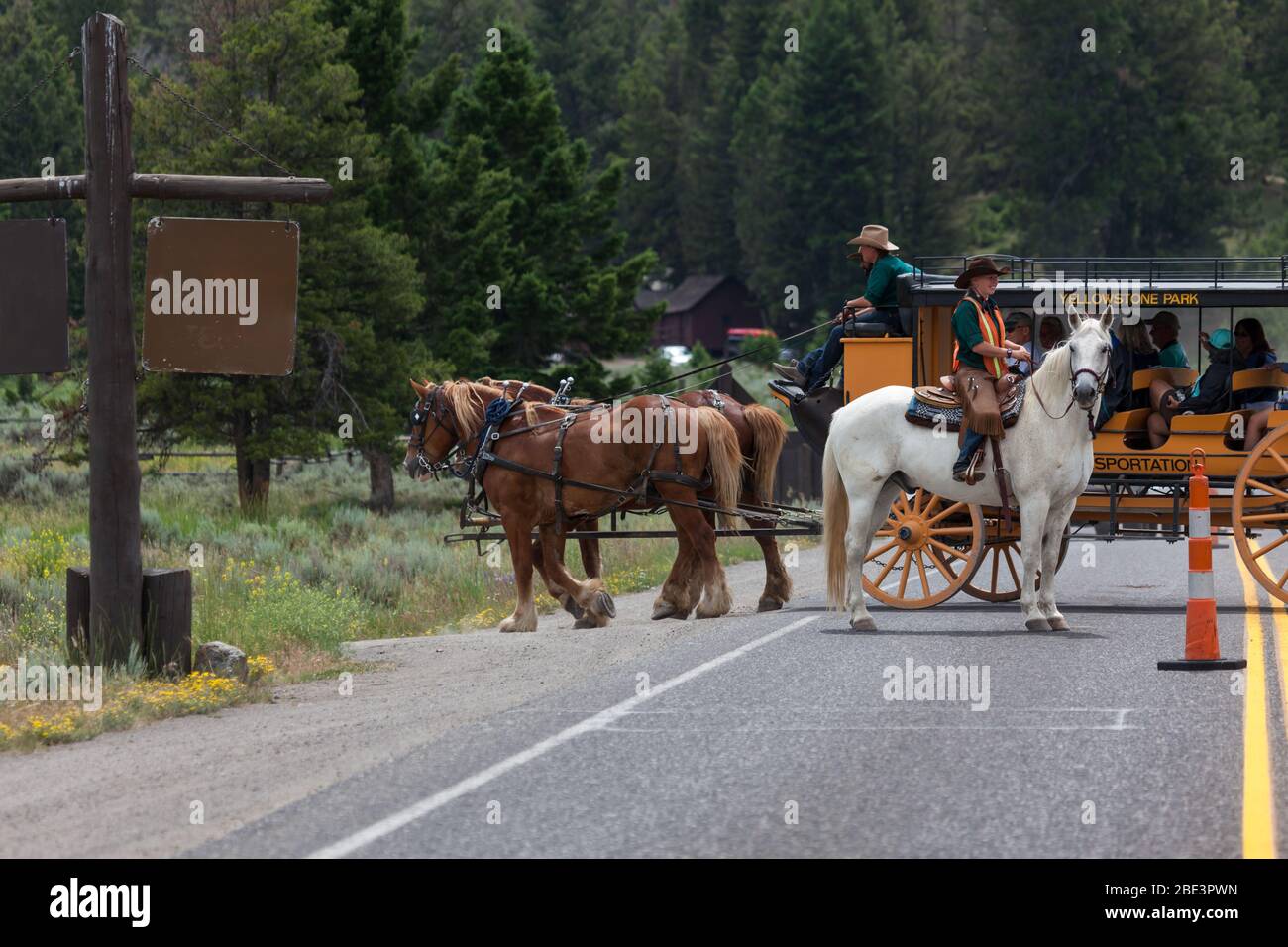 Stagecoach team horses hi-res stock photography and images - Alamy