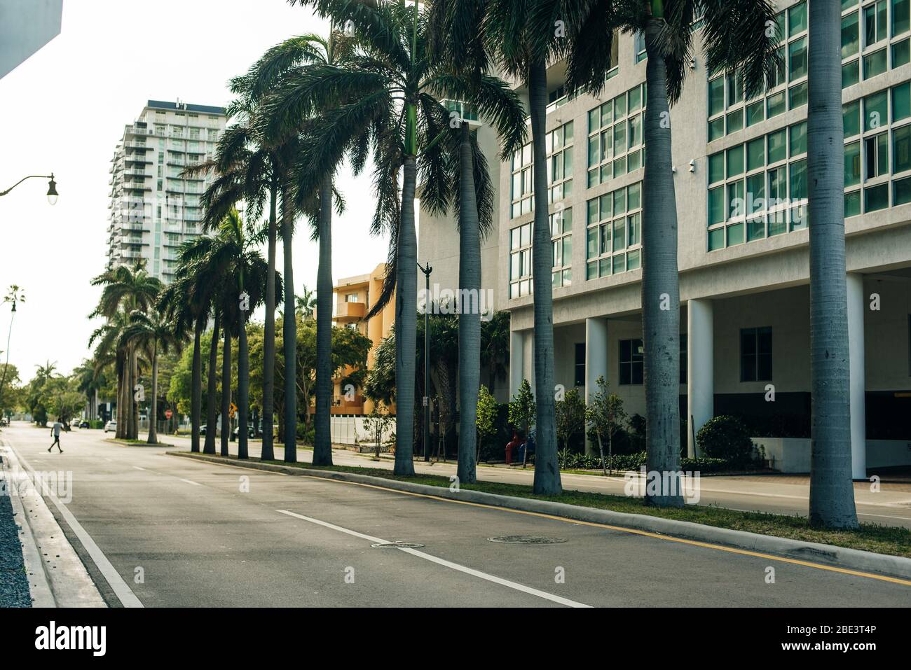 MIAMI, USA - MARCH 31, 2020 Empty streets of Miami Downtown Stock Photo ...
