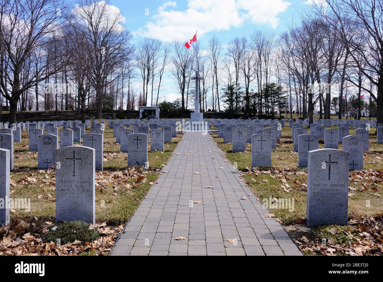 Paved path leading to the Cross of Sacrifice in the Commonwealth War ...