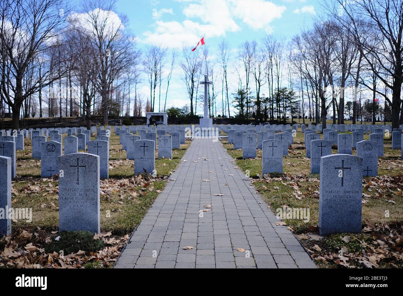 Paved path leading to the Cross of Sacrifice in the Commonwealth War ...
