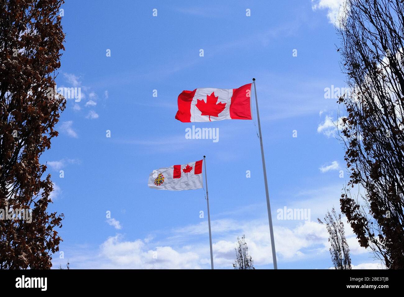 Canadas national military cemetery hi-res stock photography and images - Alamy