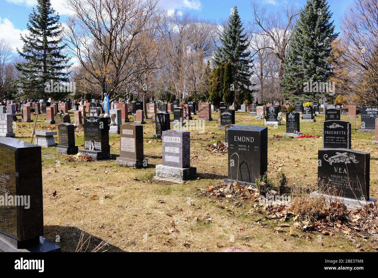 Beechwood cemetery hi-res stock photography and images - Alamy
