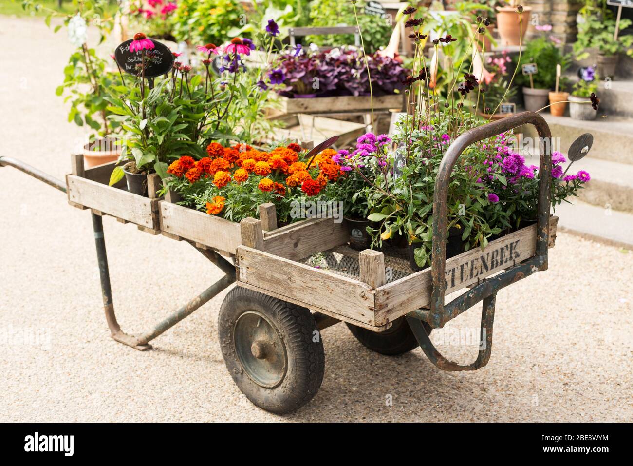 Flower cart display hi-res stock photography and images - Alamy