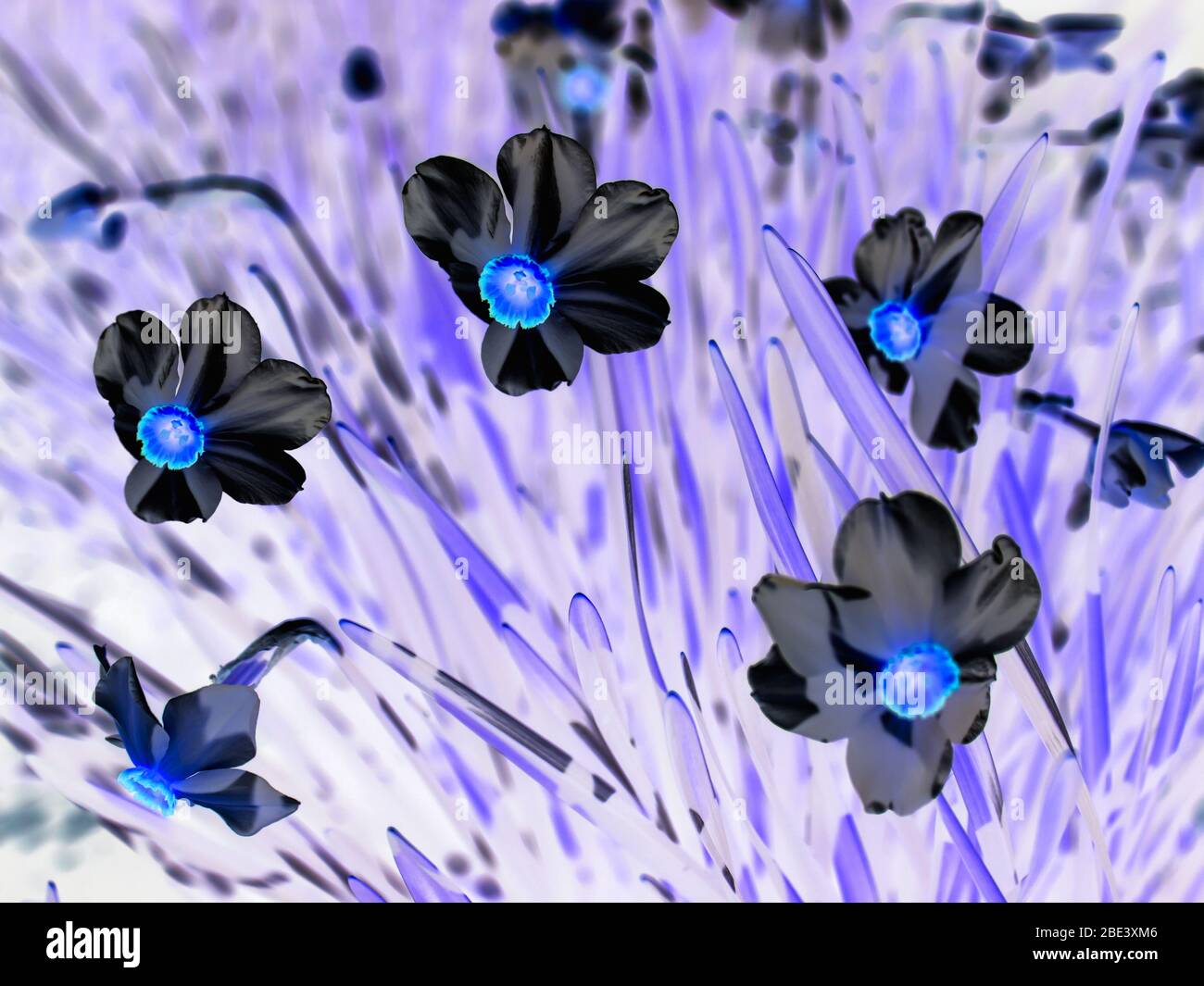 Purple infrared hi-res stock photography and images - Alamy