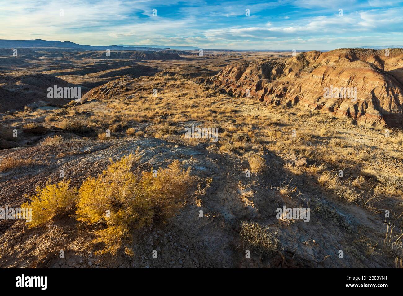Steppe ecosystem hi-res stock photography and images - Alamy