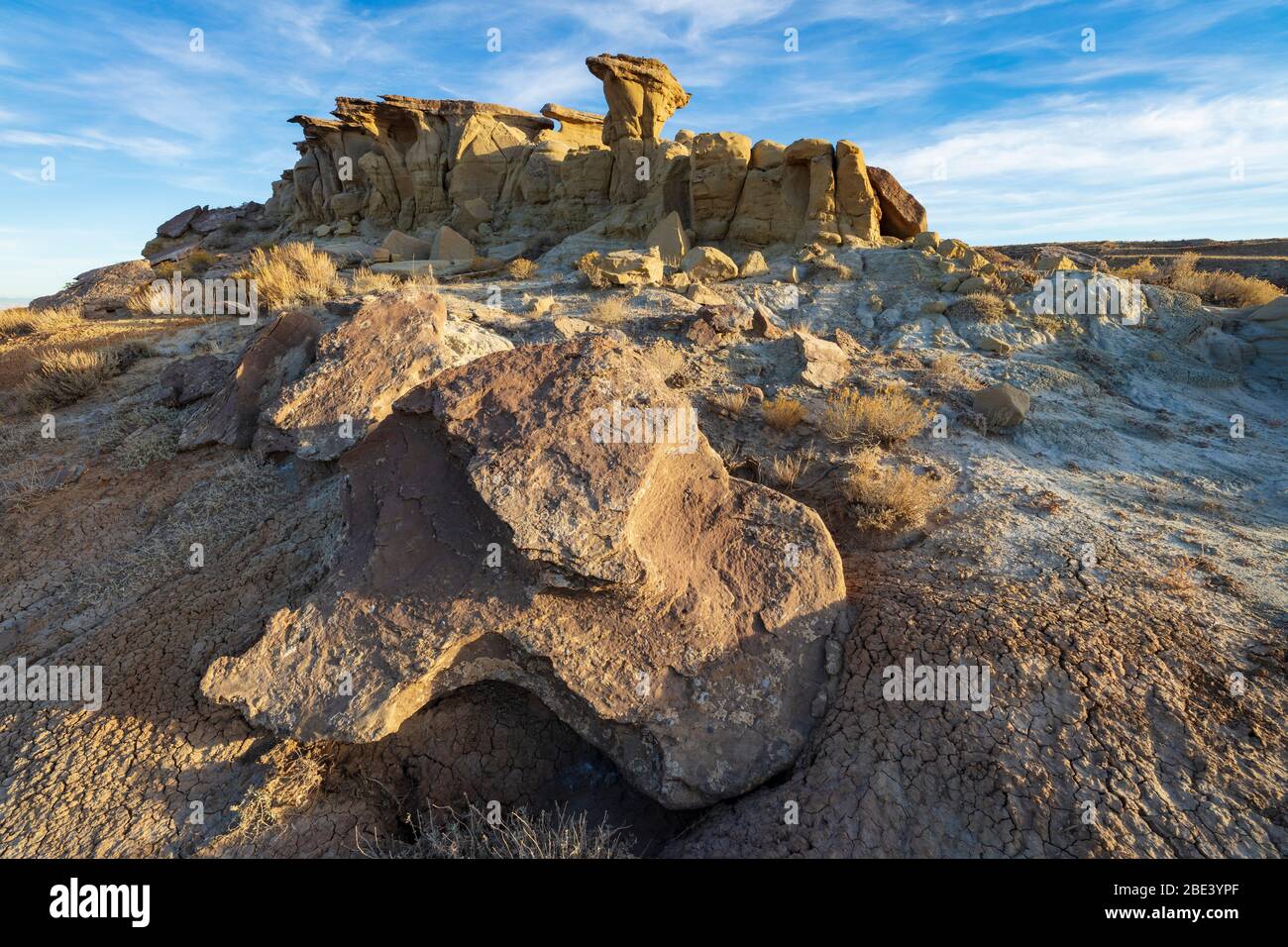 Semi arid desert sagebrush hi-res stock photography and images - Alamy