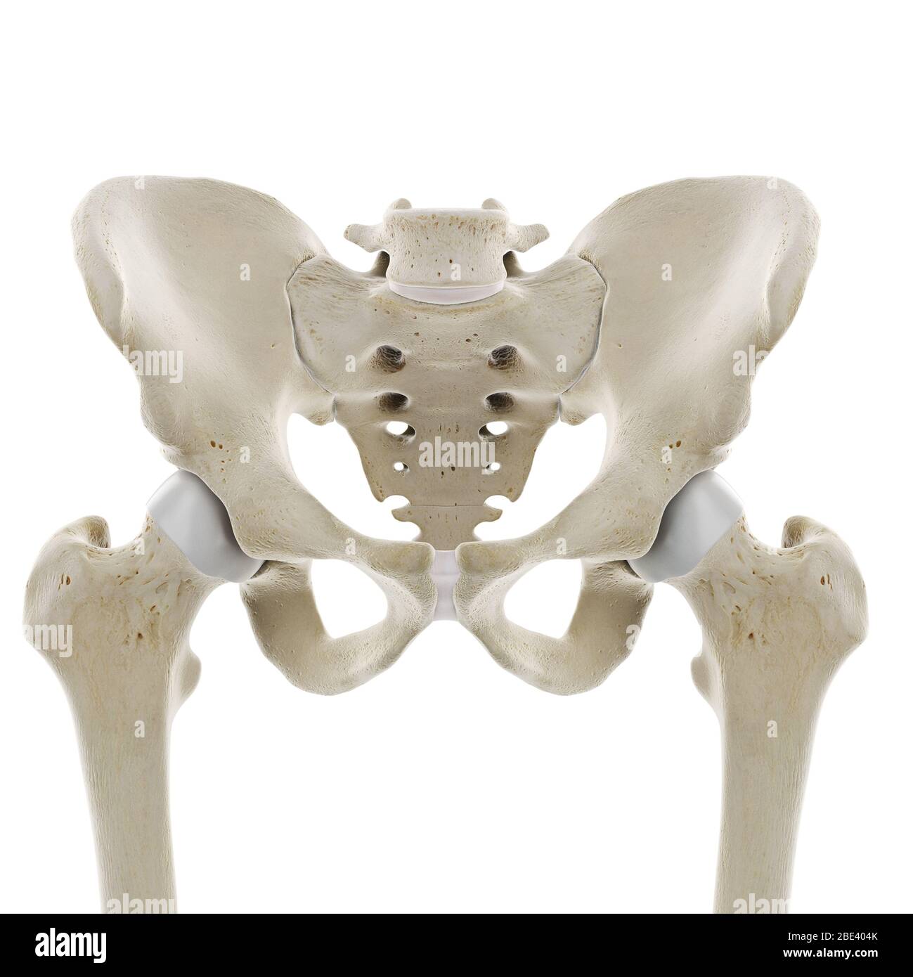 Hip 3d Cut Out Stock Images & Pictures - Alamy