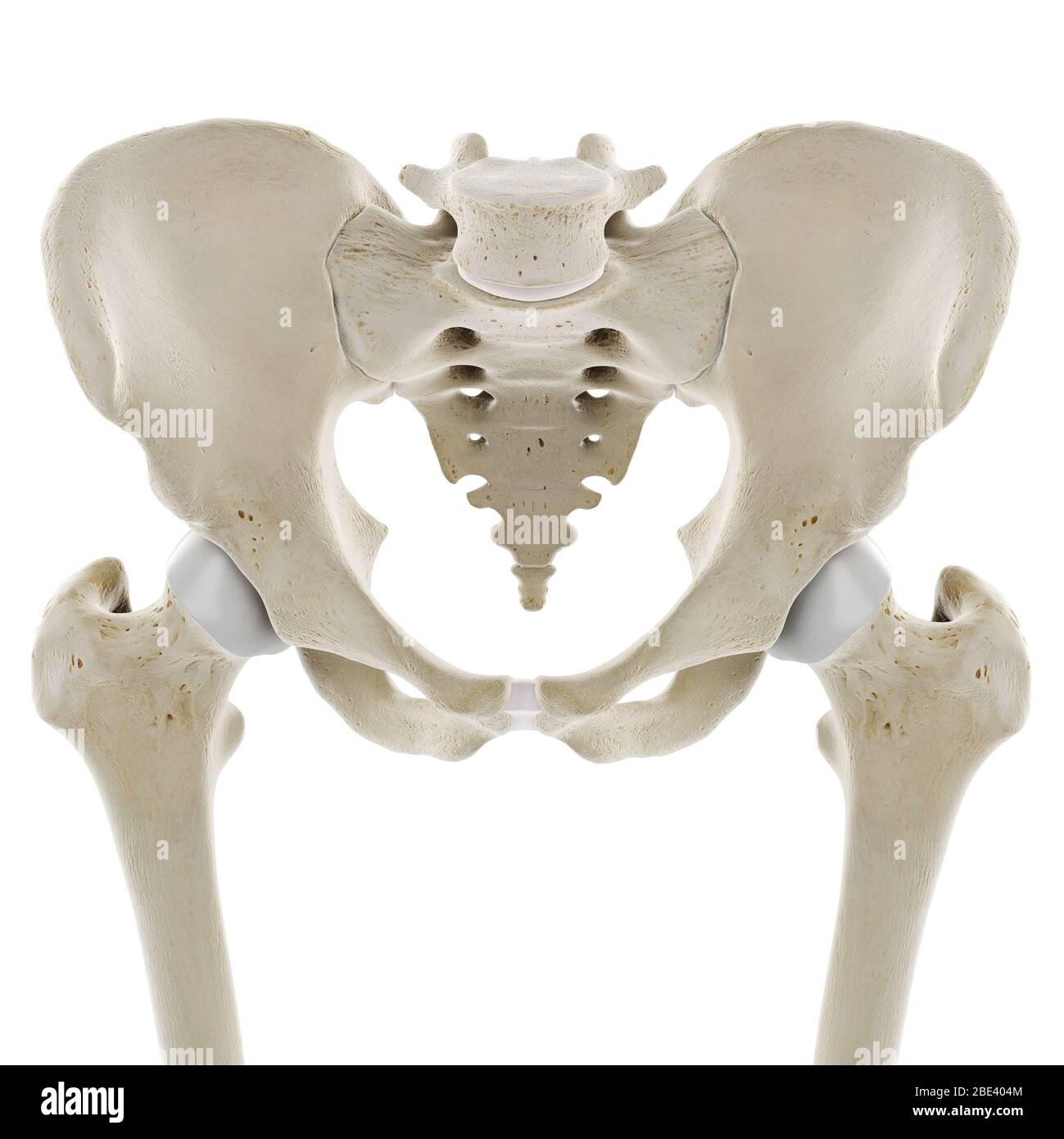 Hip 3d Cut Out Stock Images & Pictures - Alamy