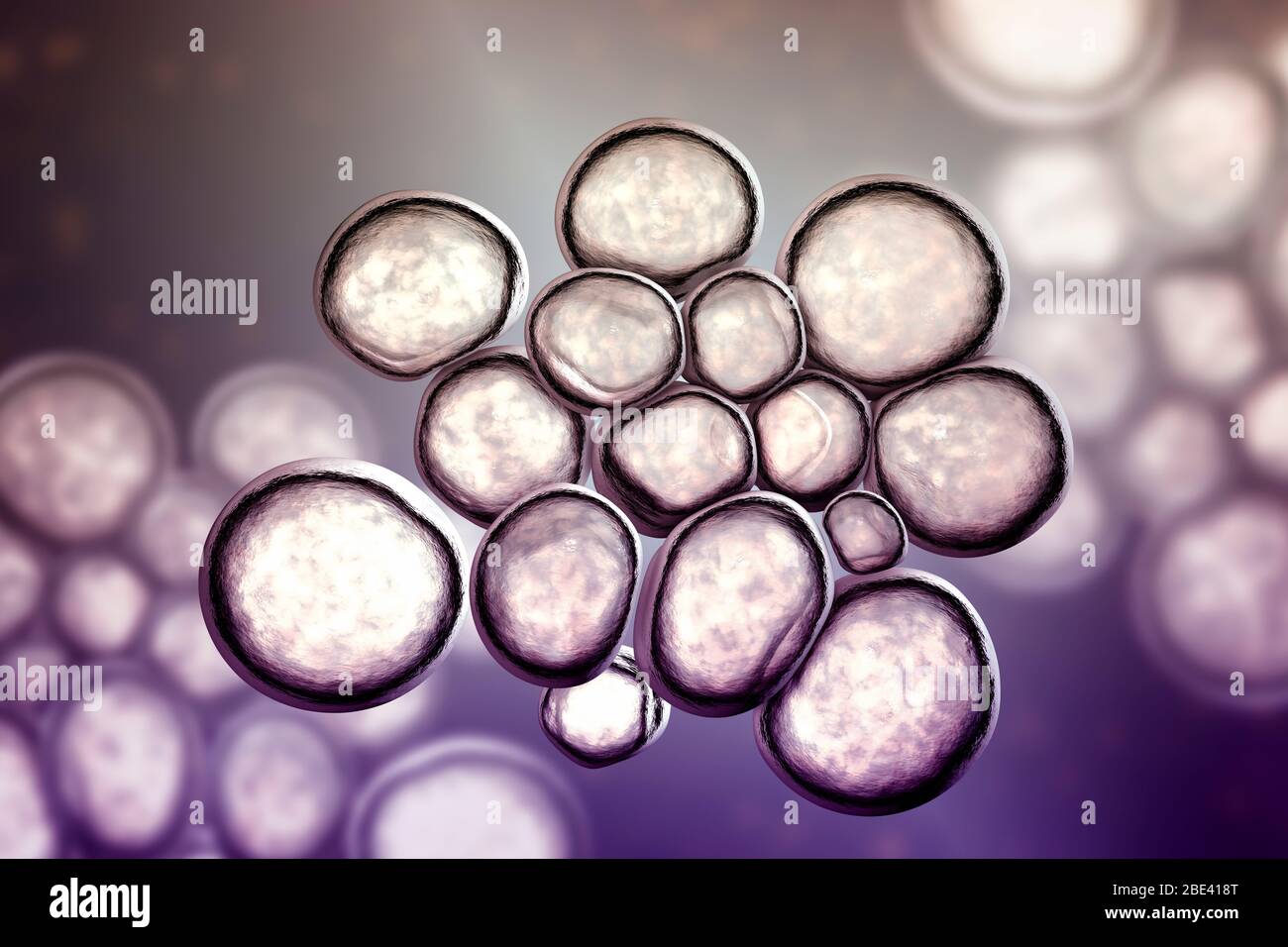 Bacteria ureaplasma urealyticum hi-res stock photography and images - Alamy