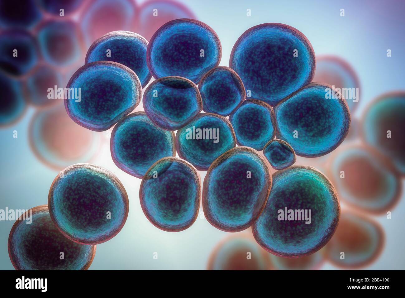 Urethritis hi-res stock photography and images - Alamy