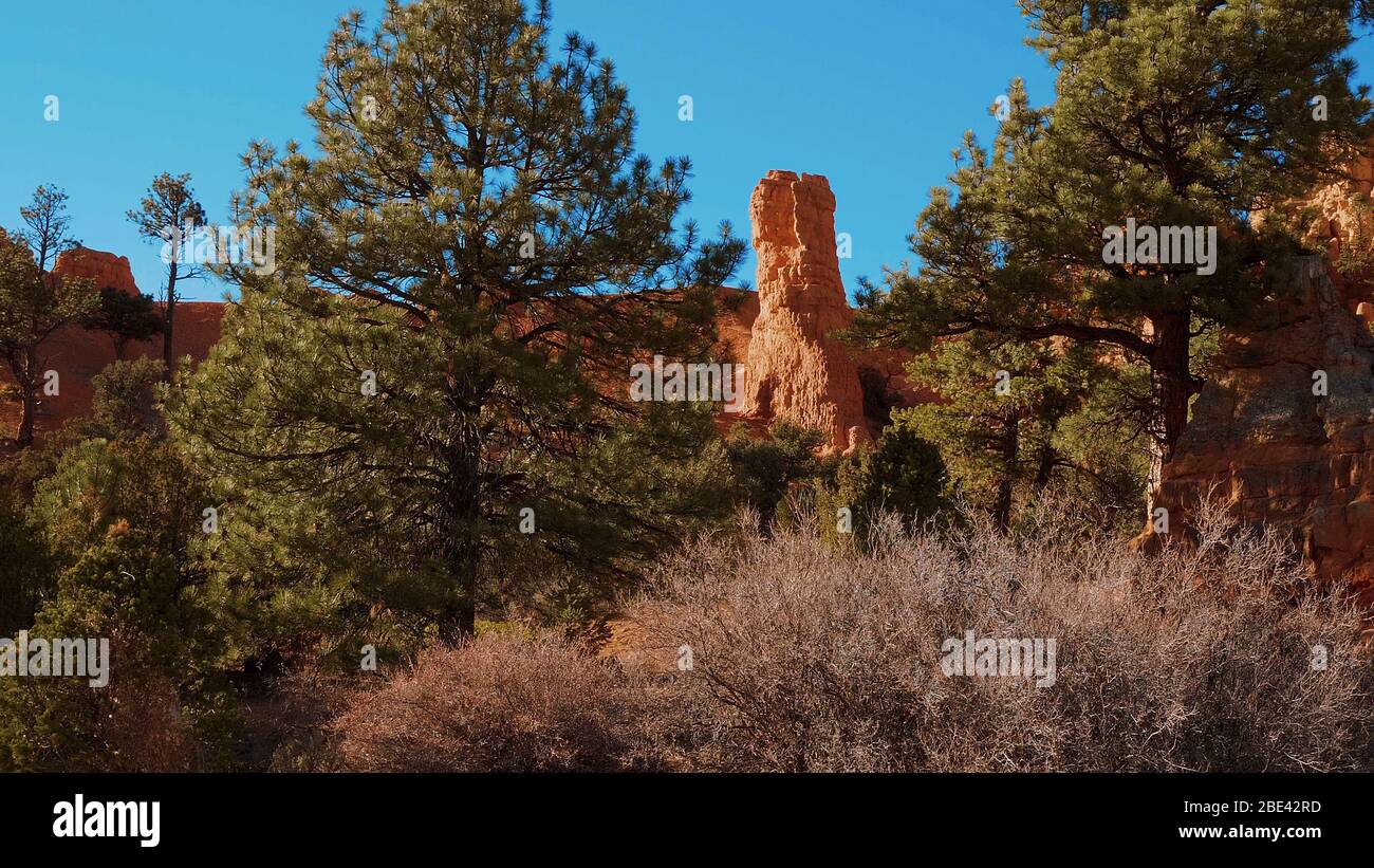 The amazing rocks in the Red Canyon in Utah Stock Photo - Alamy