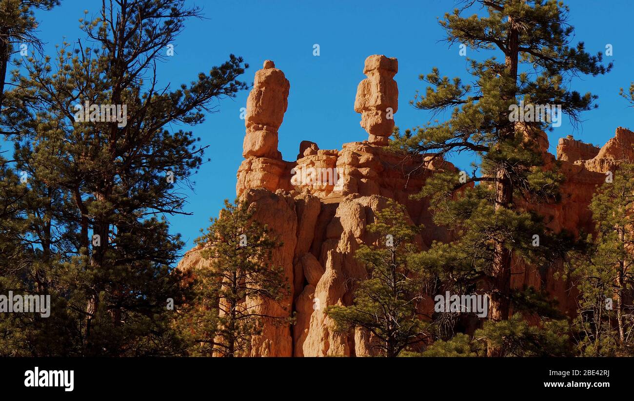 The amazing rocks in the Red Canyon in Utah Stock Photo - Alamy