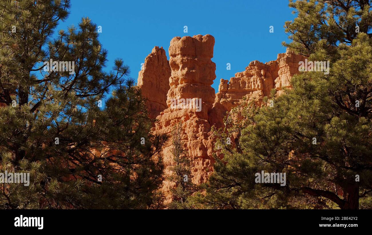 The amazing rocks in the Red Canyon in Utah Stock Photo - Alamy