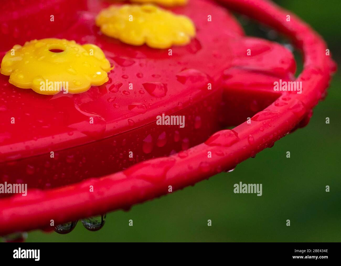 Driping wet hi-res stock photography and images - Alamy