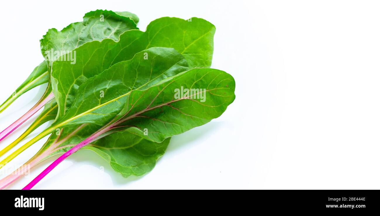 Fresh swiss chard on a white background Stock Photo - Alamy